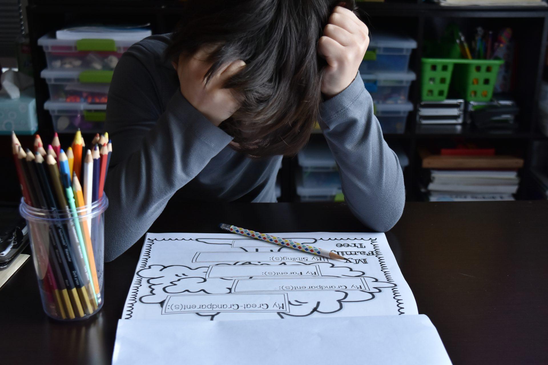 Introduction To Executive Function Disorder Adhd Training Center